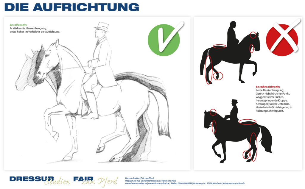Alte Meister! Die Aufrichtung – Dressur-Studien